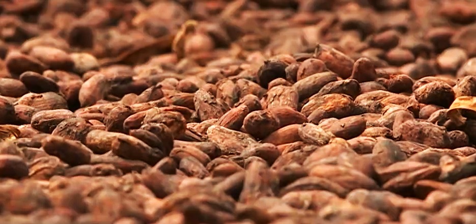 São Tomé e Príncipe - PAFAE constrói infraestruturas de apoio à ...